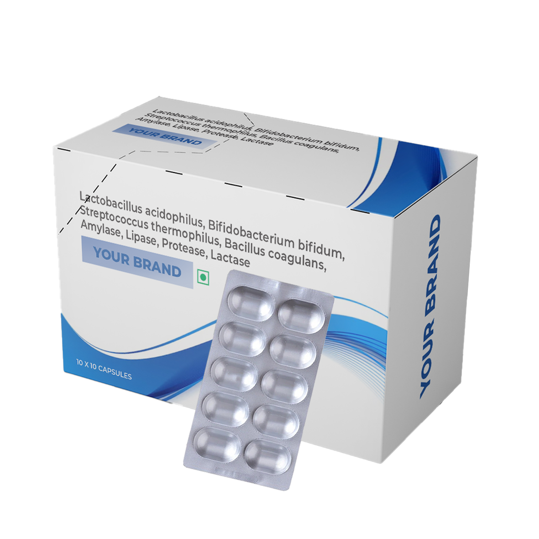 Enzyme With Probiotics – Bioxent